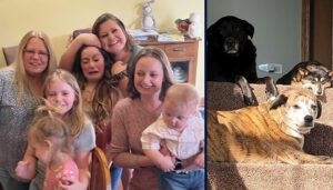 Employee Spotlight: Donna Minet - Draper and Kramer, Incorporated